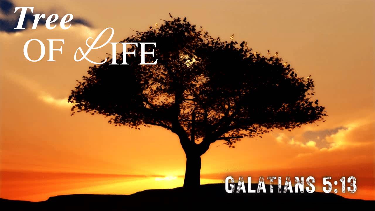 Fruits of The Tree of Life