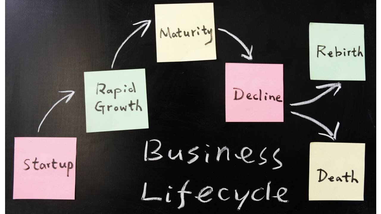The Board's Life Cycle