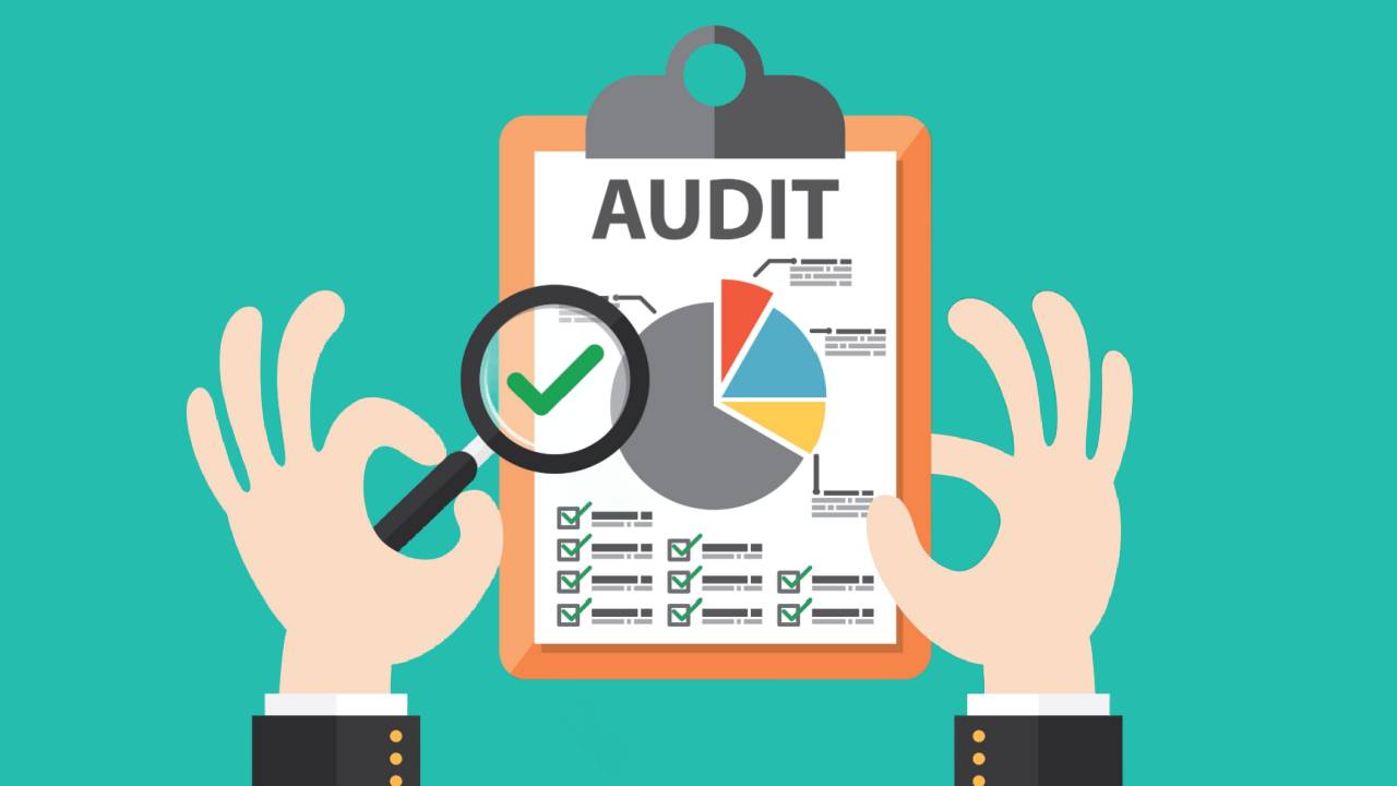The Director's Role in External Audit
