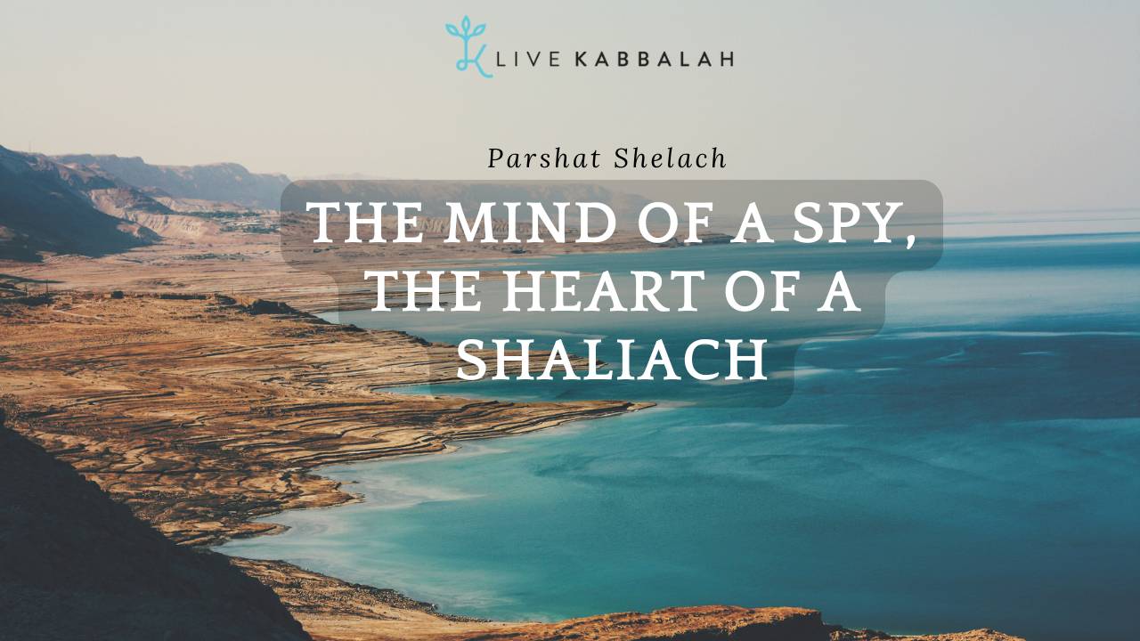 Parshat Shelach | The Mind of a Spy, the Heart of a Shaliach