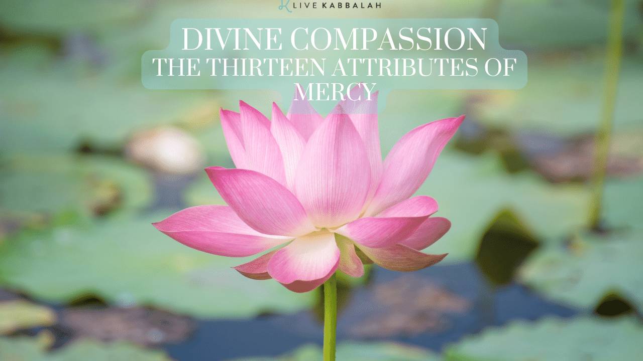 Unlocking Divine Compassion - Journey of the Thirteen Petaled Rose