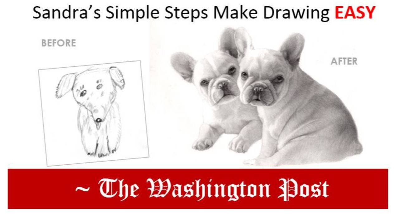 Learn to draw FAST - 4 Simple Steps