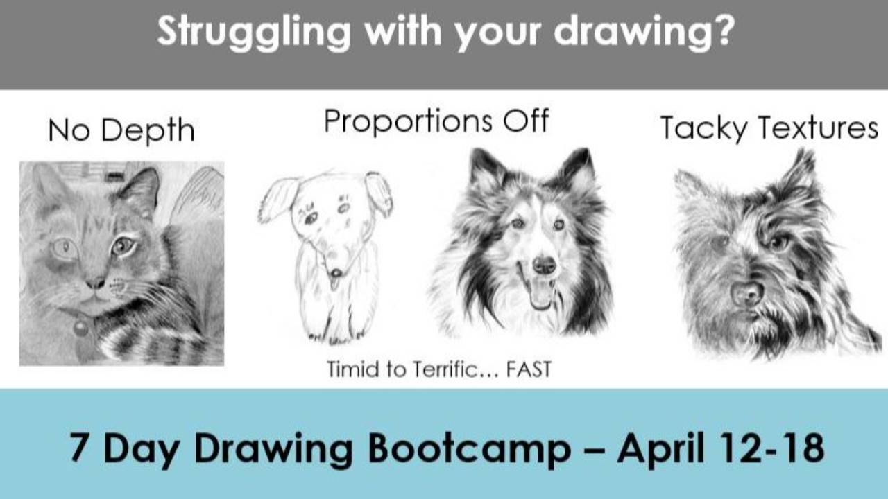 Welcome | 7-Day Drawing Bootcamp