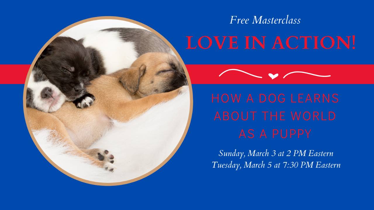 Masterclass Replay Love In Action! March 2024