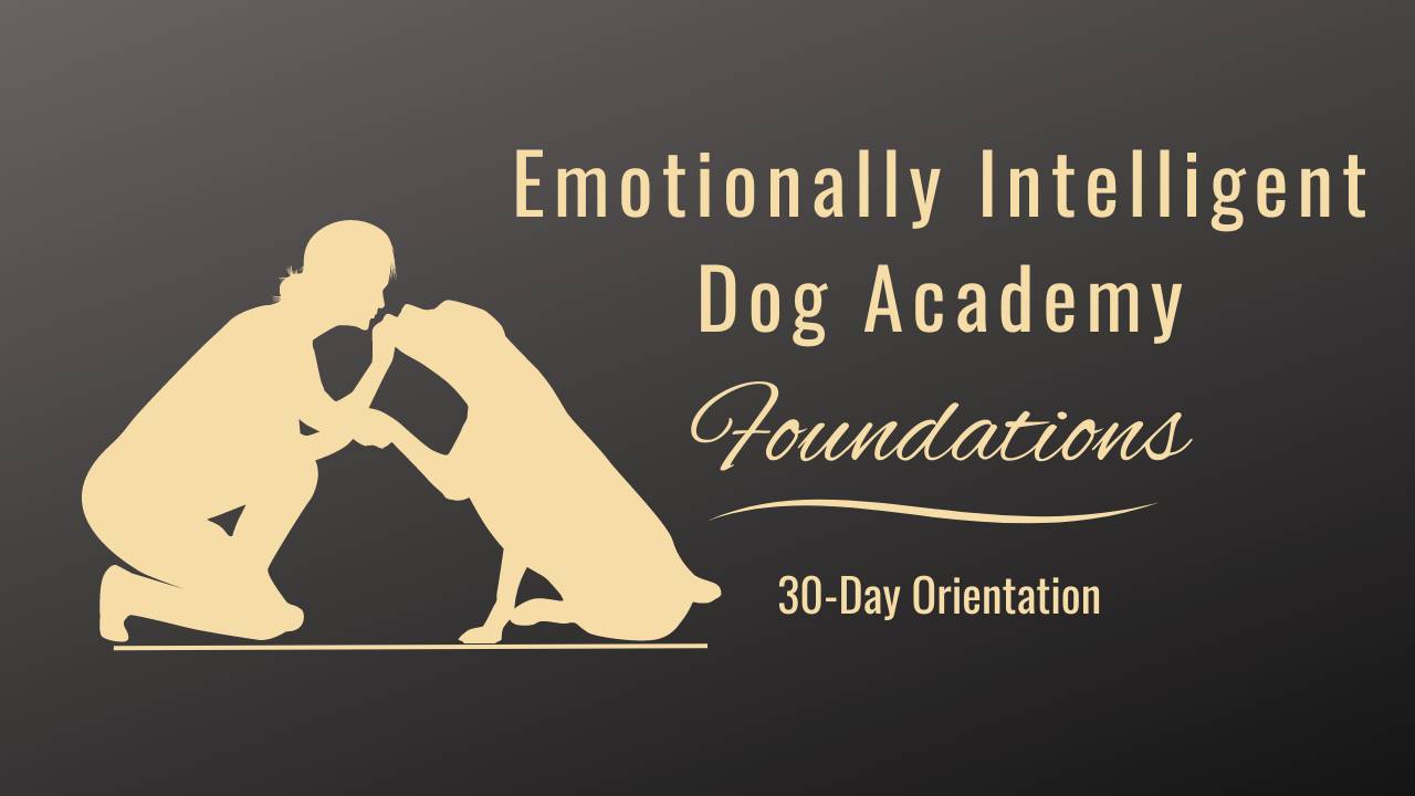Emotionally Intelligent Dog Academy Foundations 30-Day Orientation