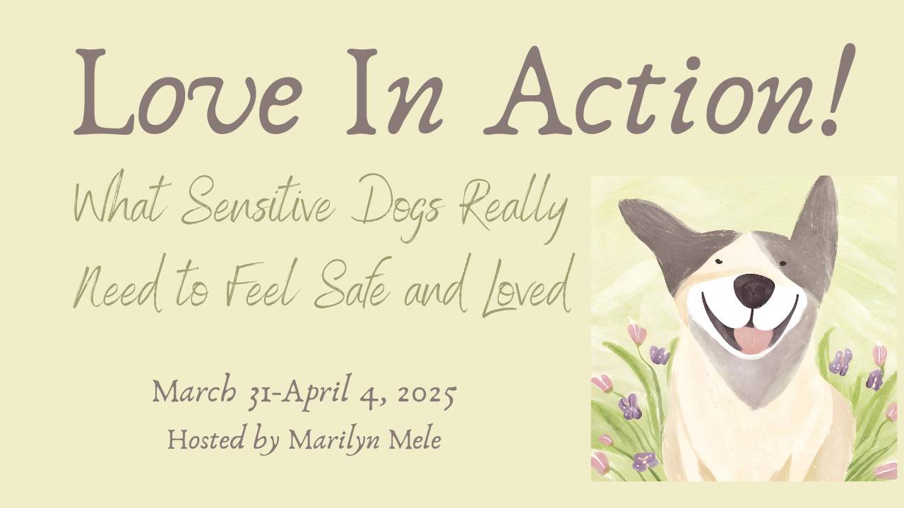 [SUMMIT] March-April 2025 Speaker Page Else Verbeek