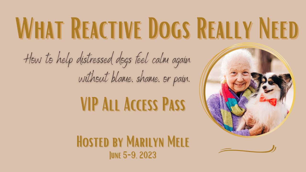 Summit June 2023 VIP All-Access Pass Members Only