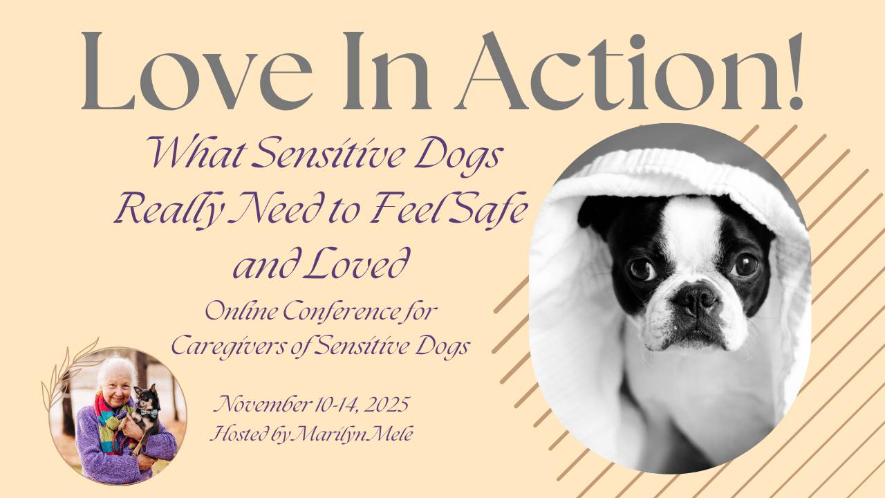 [SUMMIT] November 2025 Speaker Page Laura Donaldson
