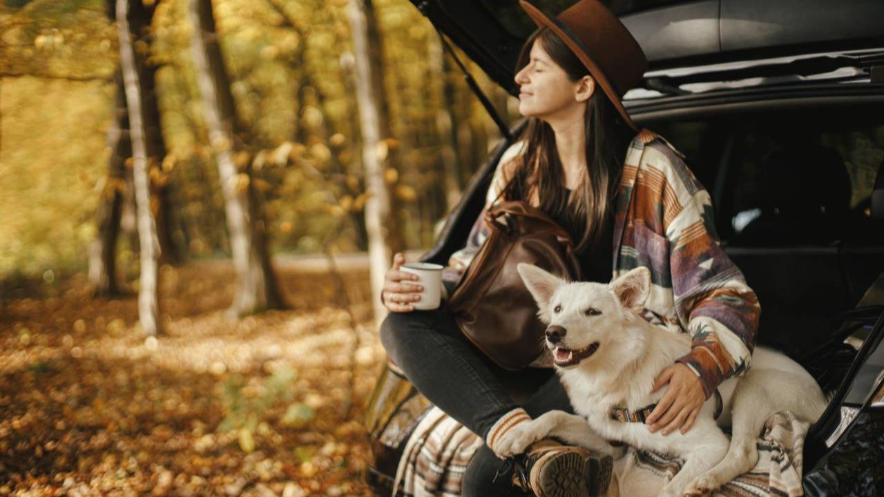 Reactive Dog to Calm Companion Masterclass 4-23-23