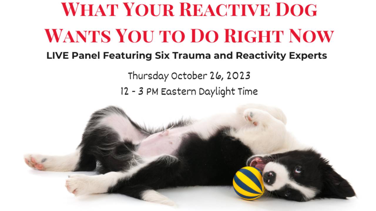 Live Event: What Your Reactive Dog Wants You to Do Right Now!