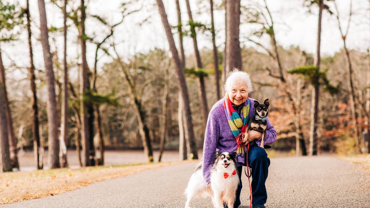 Academy Enrollment is closed now.