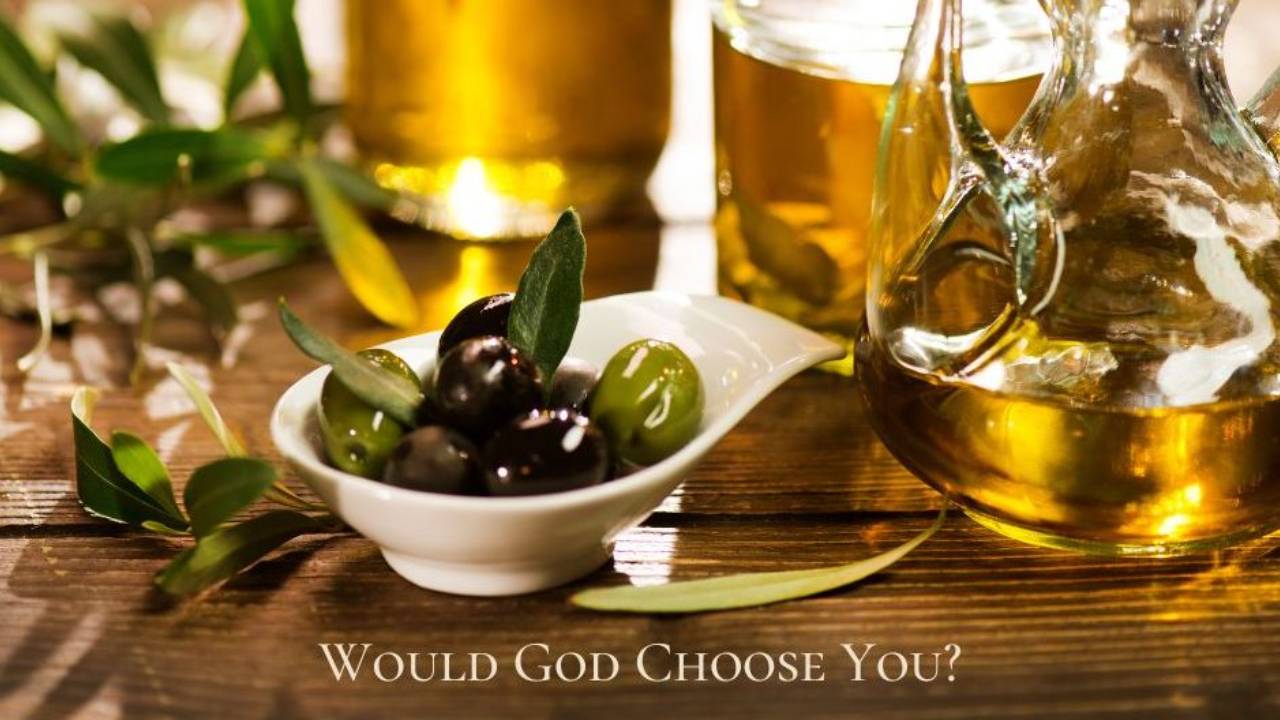 Olive Oil