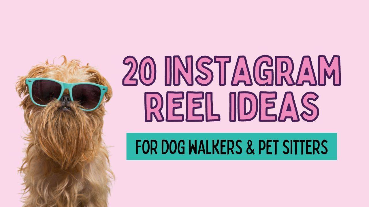 Instagram reel ideas for dog walkers and petsitters