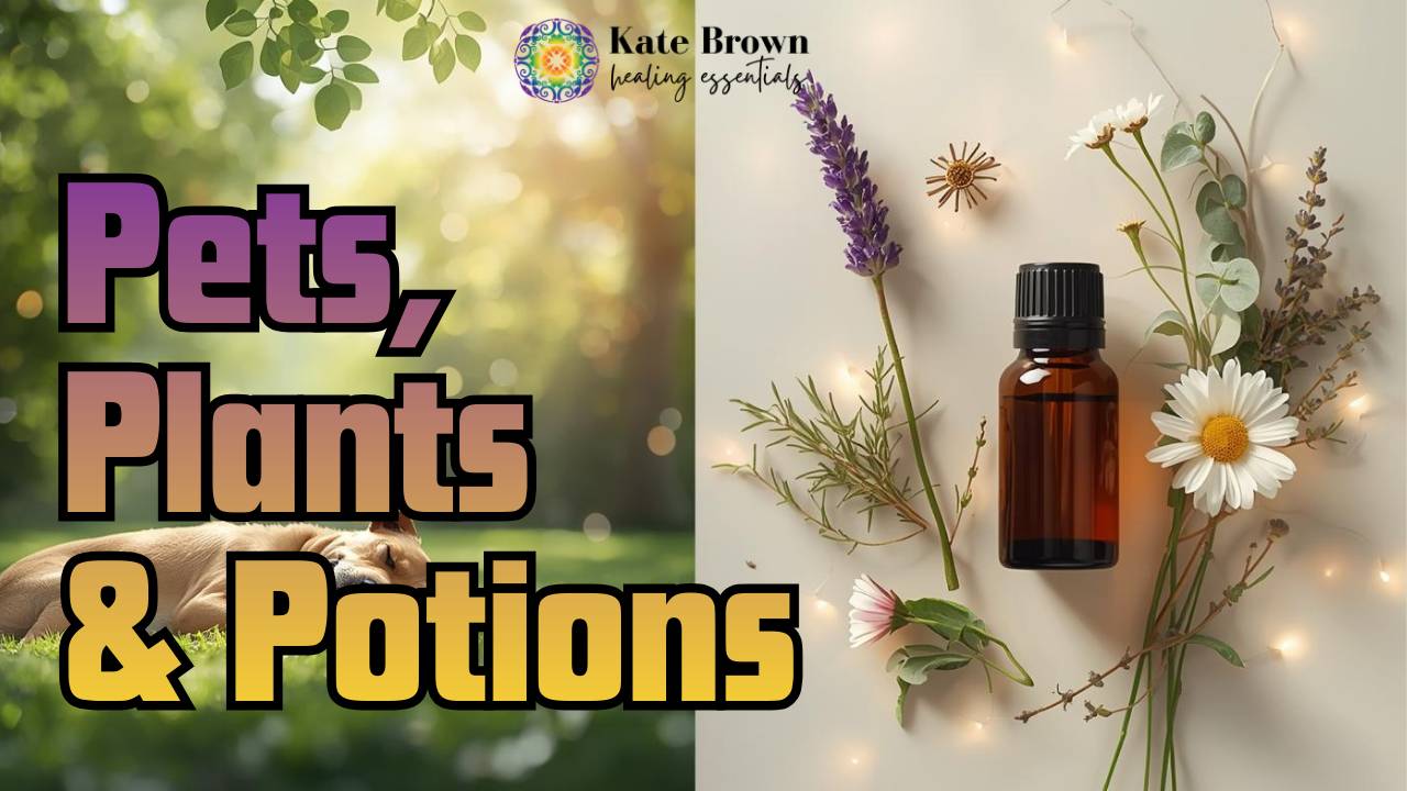 Truth About Essential Oils & Animals Resource page