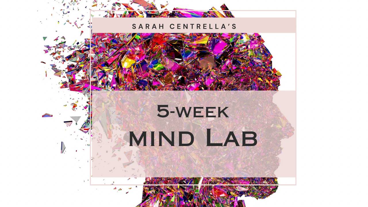 The Mind Lab