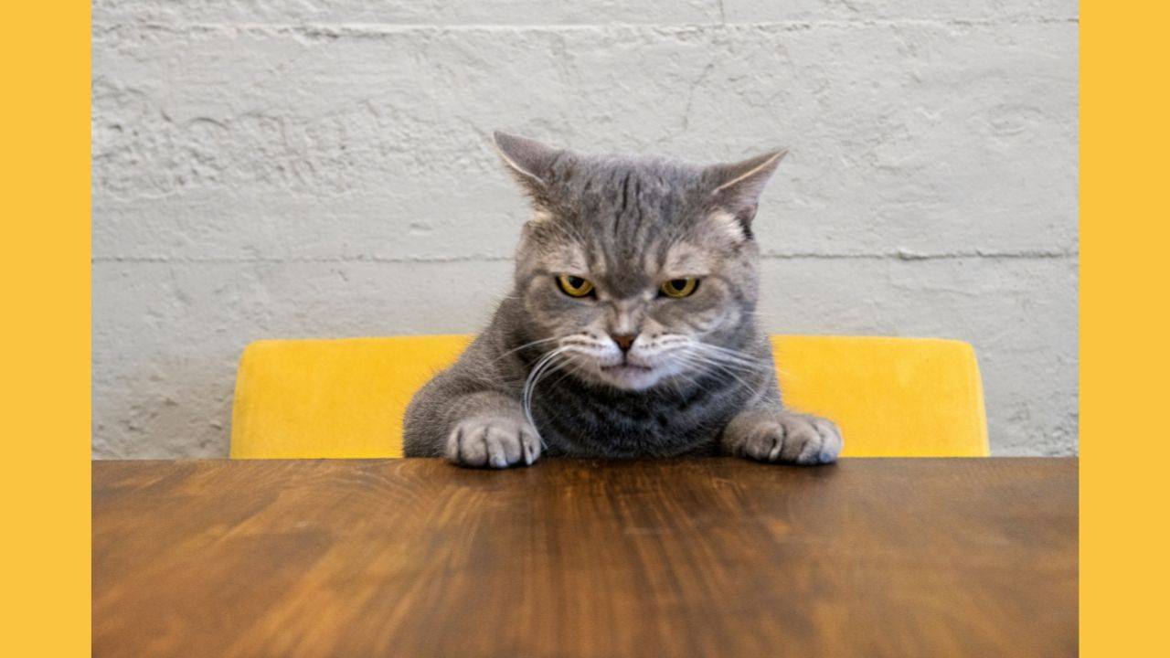 What Can Make People Angry?