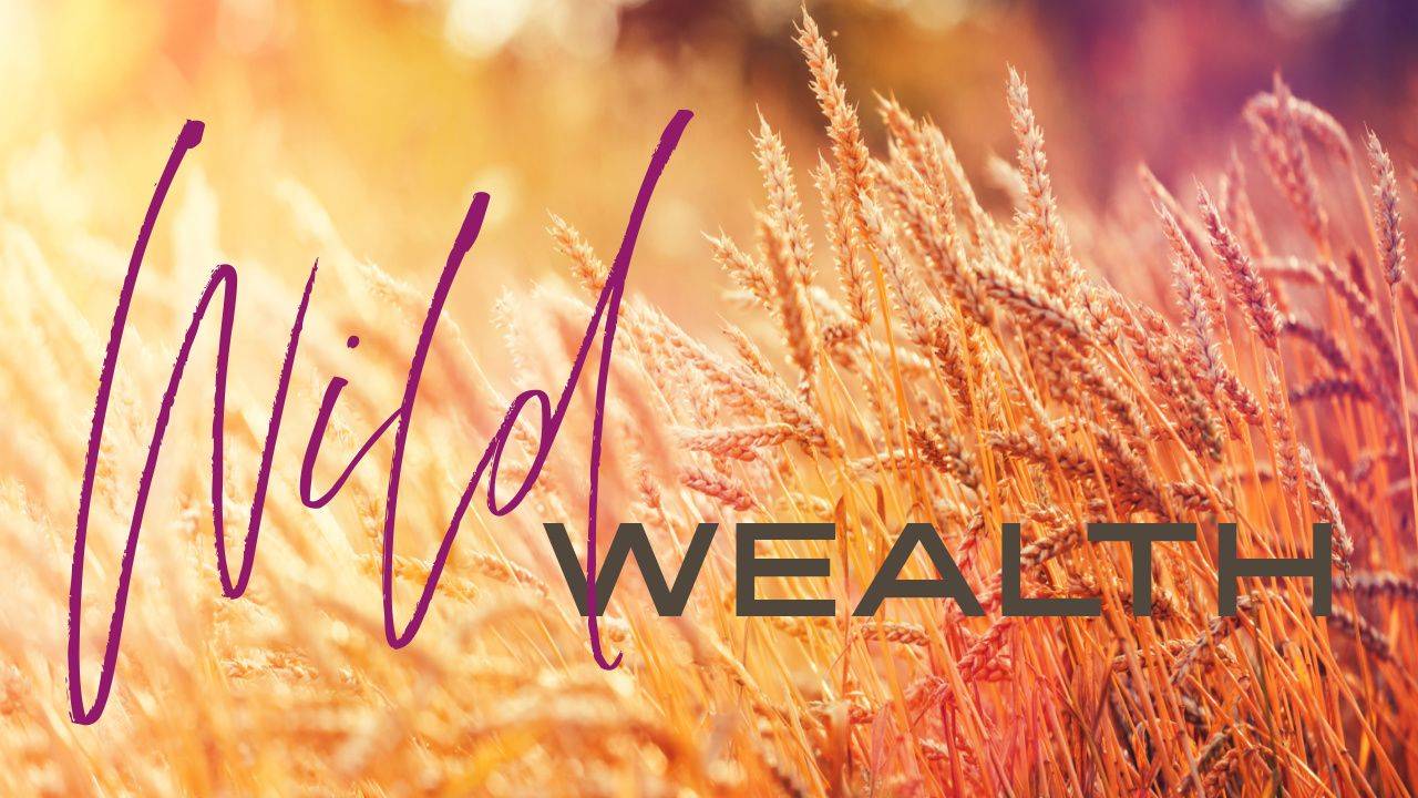 Wild Wealth