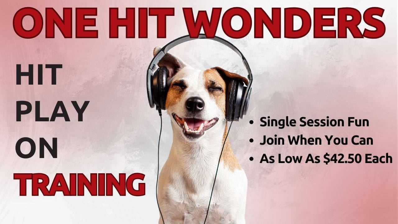 Specialty Training - On Hit Wonders Class