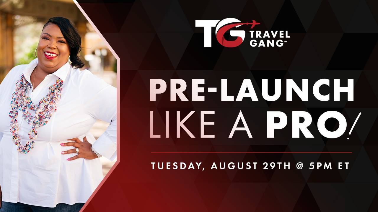 Join Shanterria for the Pre-Launch Like a Pro Masterclass!