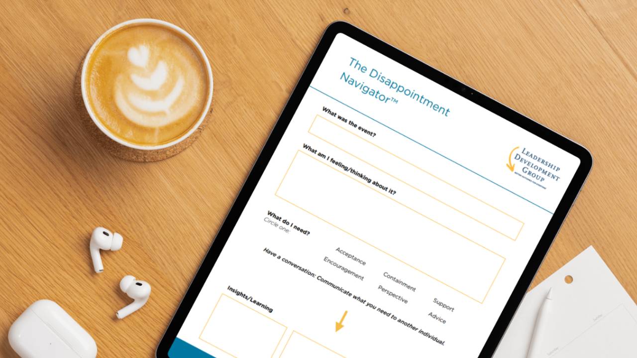 The Disappointment Navigator - Leadership Development Group