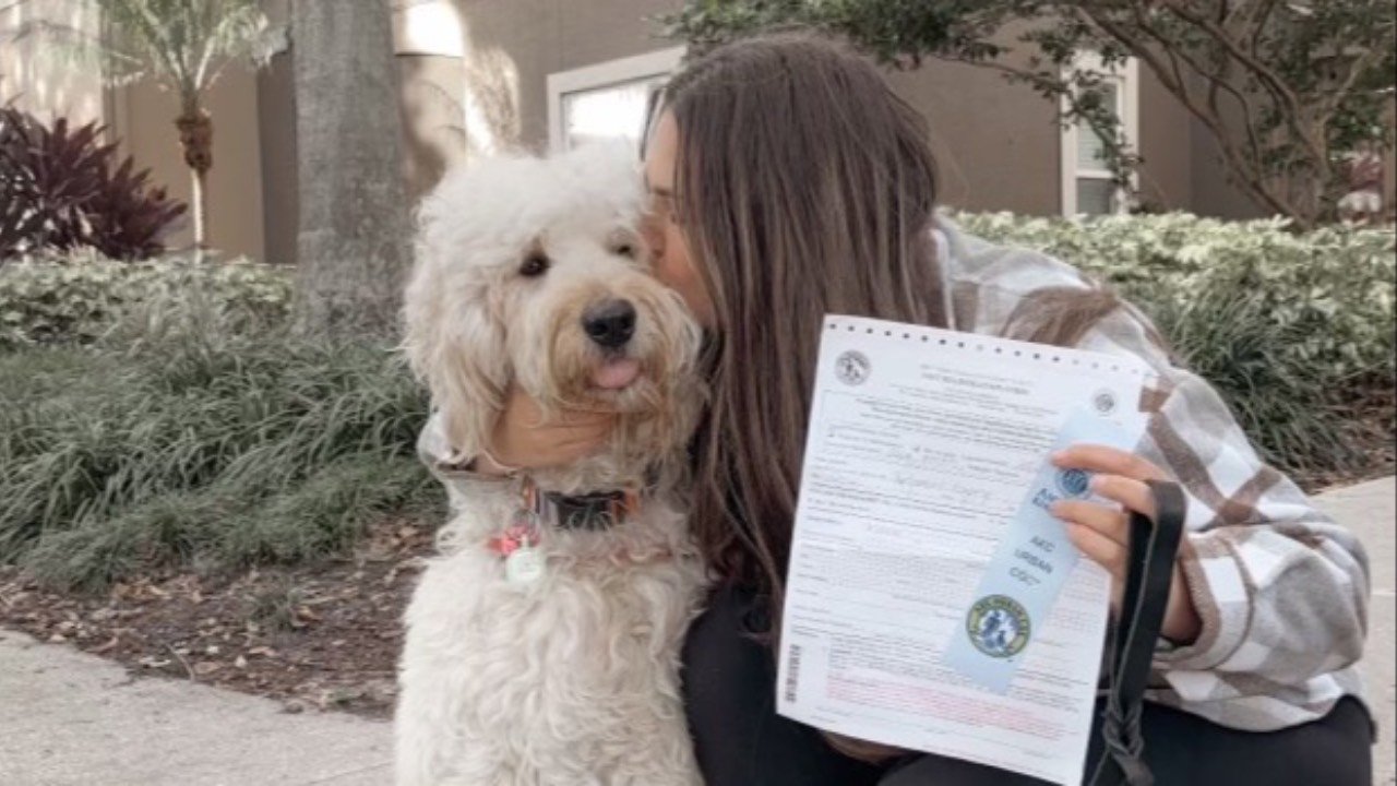 Therapy Dog Success Story