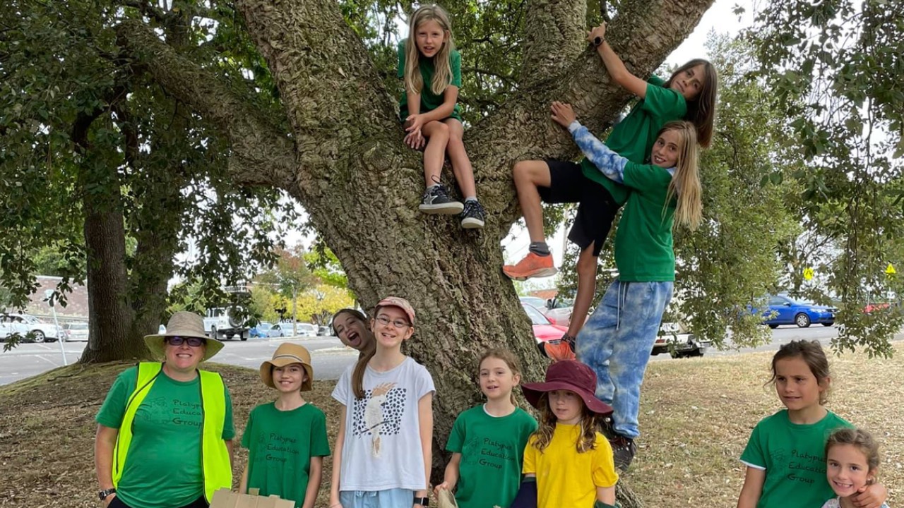 A model for engaging youth in Environmental Activism