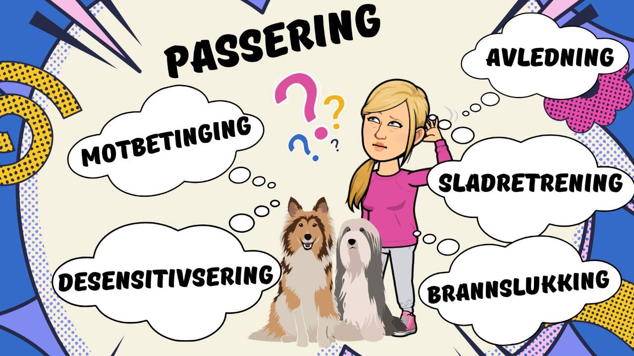 Passering: Ulike metoder, når bør man gjøre hva?