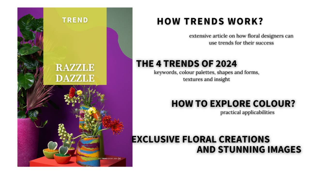 Razzle Dazzle 2024 Trend