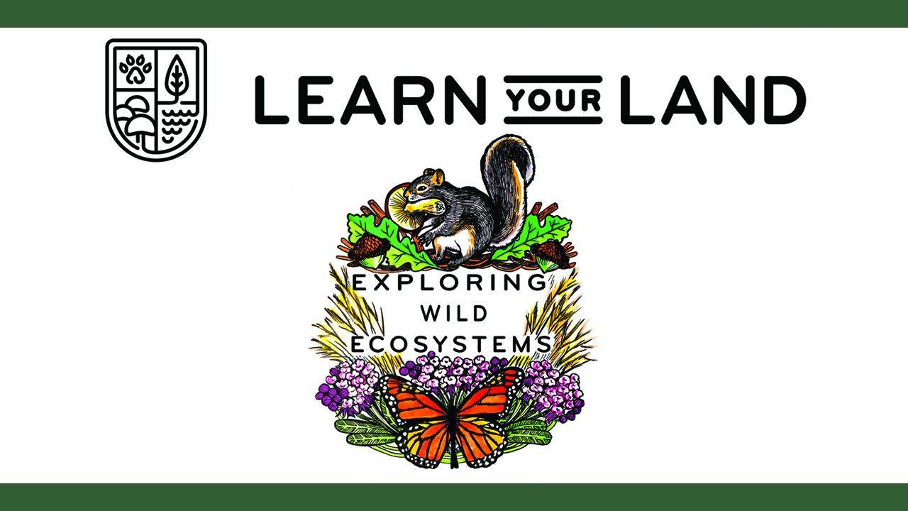 Exploring Wild Ecosystems - Learn Your Land - Adam Haritan