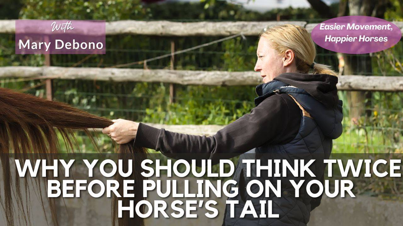 Why You Should Think Twice Before Pulling on Your Horse’s Tail