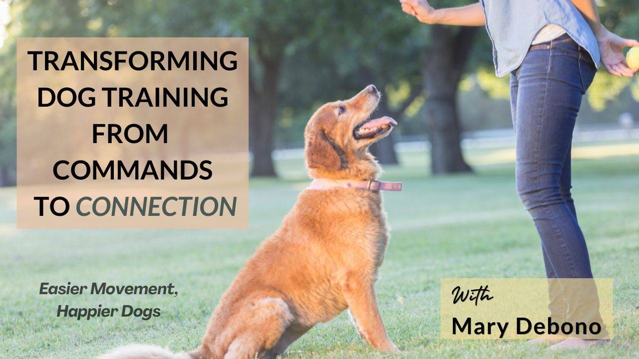 Transforming Dog Training: From Commands to Connection