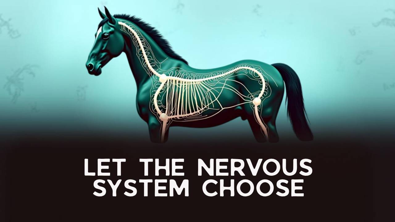 Change is a Choice: The Nervous System Unlocks Your Horse's Movement