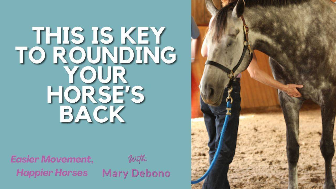 This is Key to Rounding Your Horse's Back