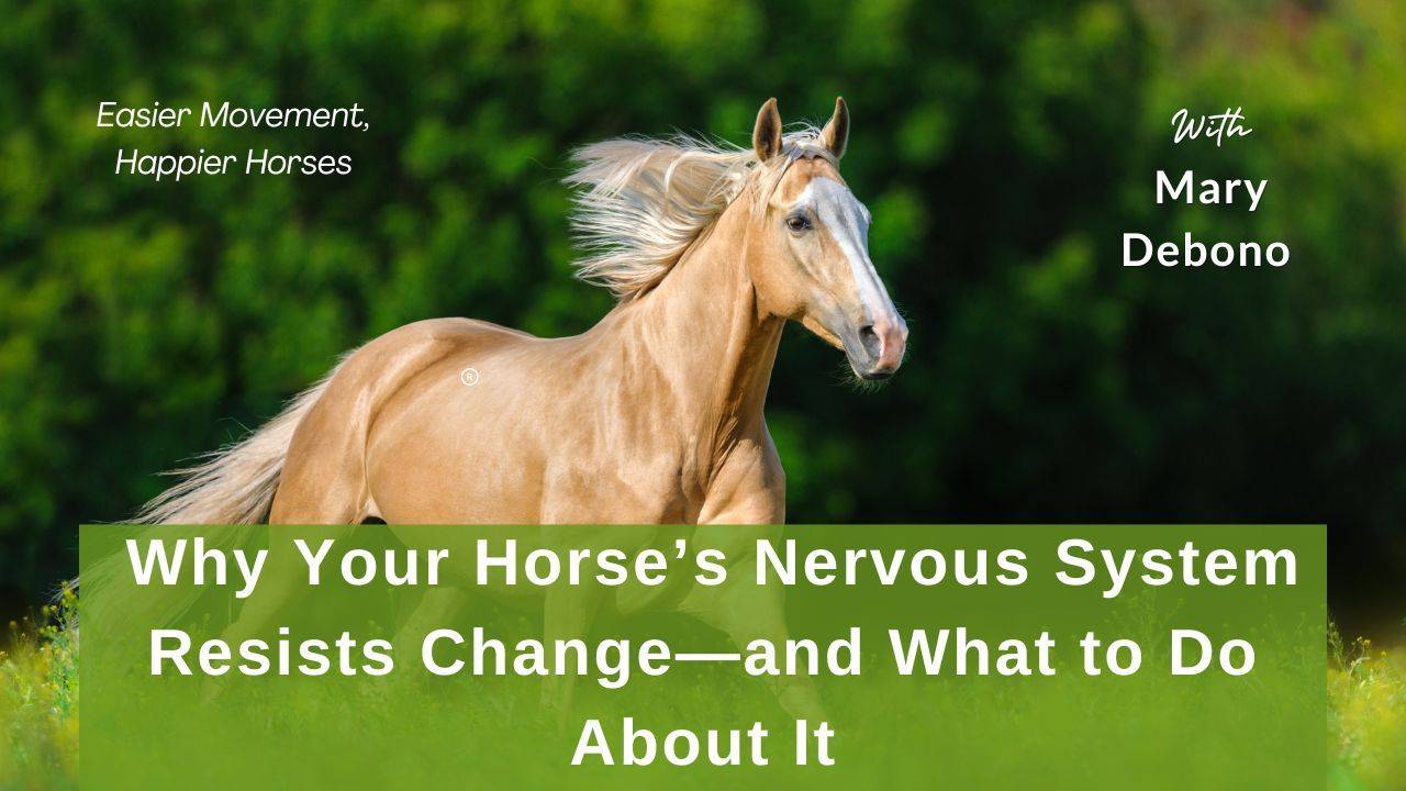 Why Your Horse’s Nervous System Resists Change—and What to Do About It