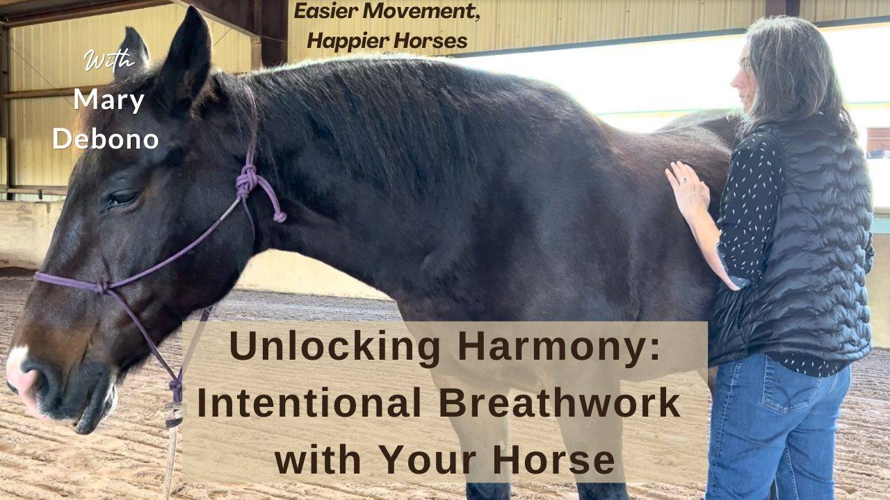 Unlocking Harmony: Intentional Breathwork with Your Horse