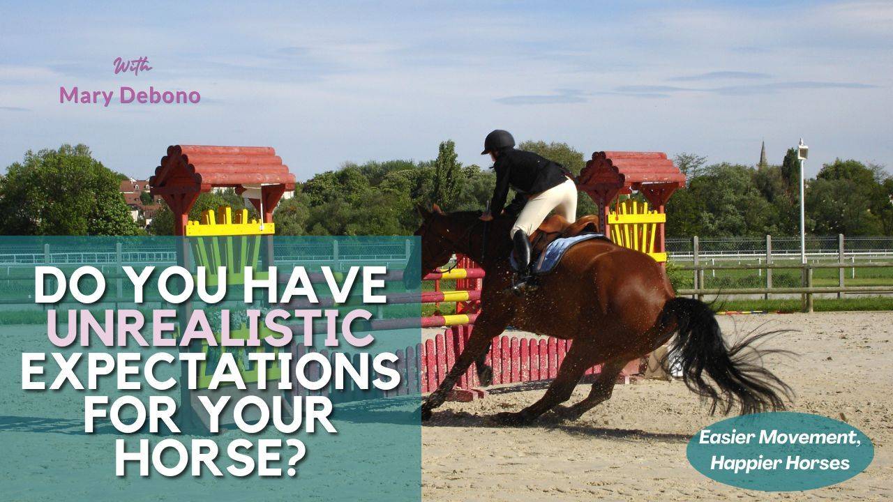 Do You Have Unrealistic Expectations for Your Horse?