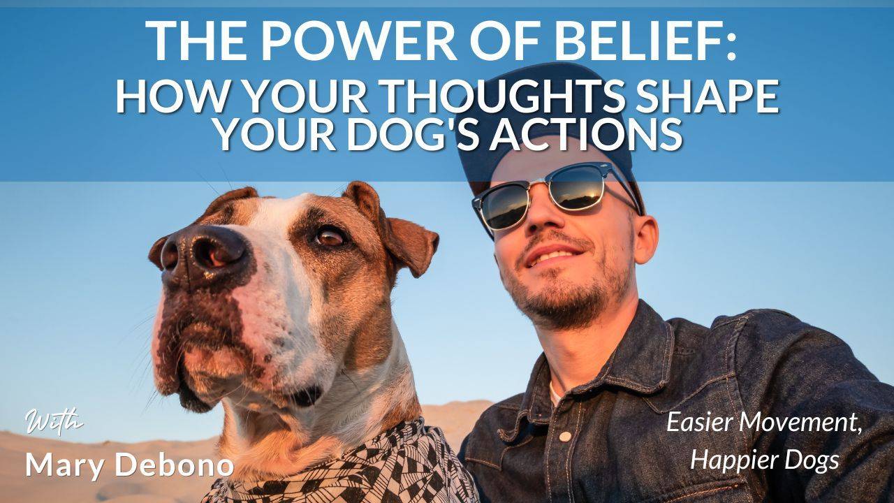 The Power of Belief: How Your Thoughts Shape Your Dog's Actions
