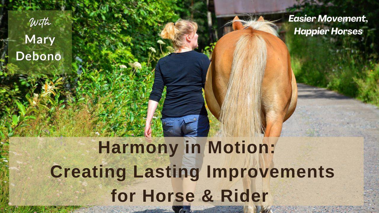 Harmony in Motion: Creating Lasting Improvements for Horse & Rider