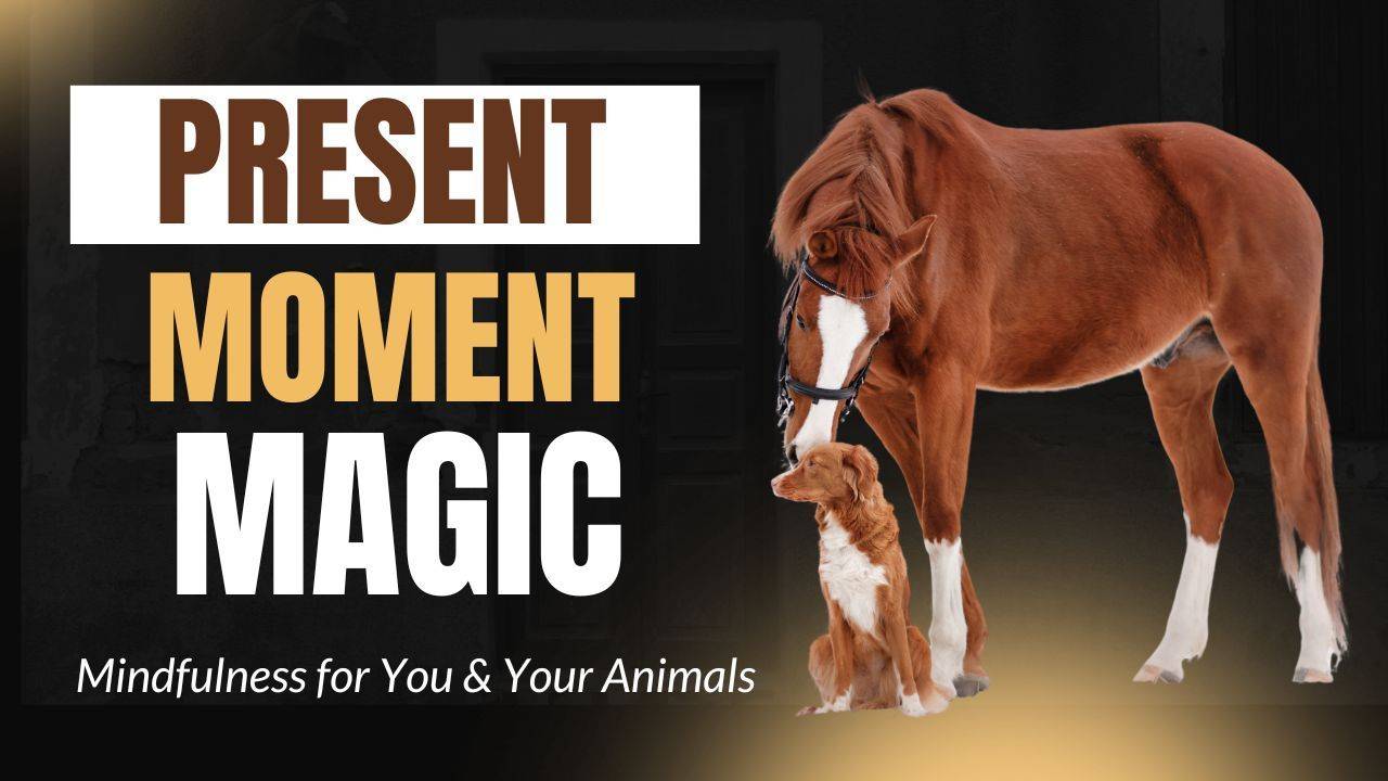 Present Moment Magic Mindfulness for You and Your Animals