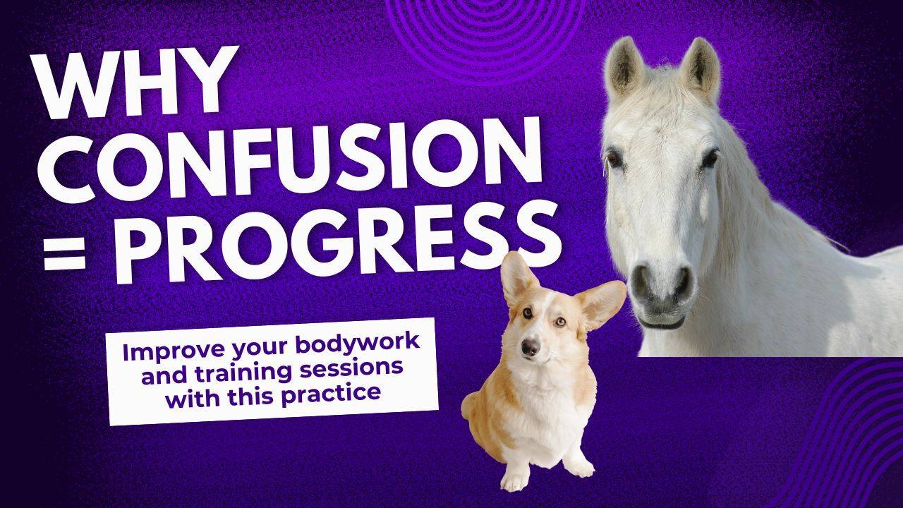 Pause, Process, Progress: The Value of Confusion