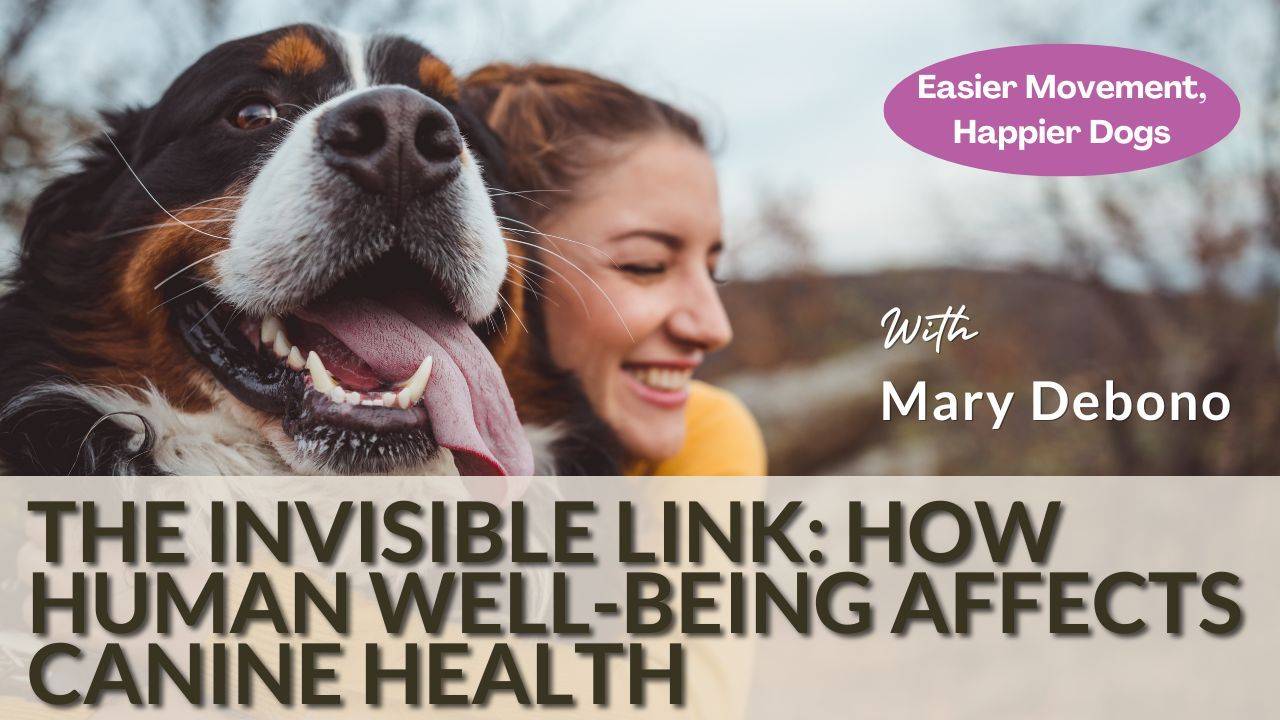 The Invisible Link: How Human Well-Being Affects Canine Health