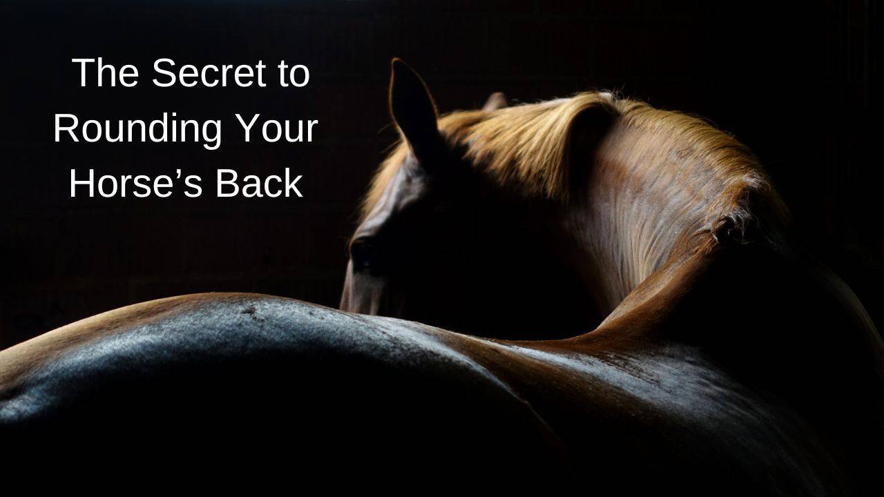 The Secret to Rounding Your Horse's Back