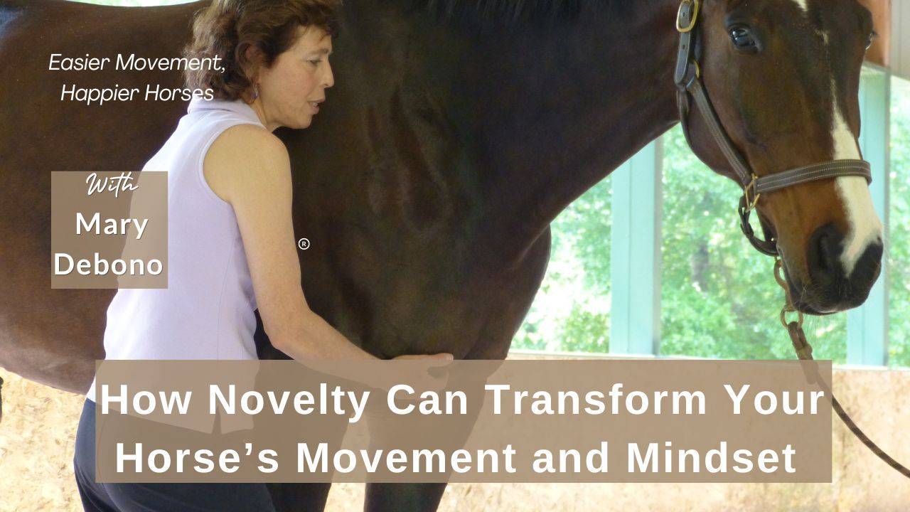 How Novelty Can Transform Your Horse’s Movement and Mindset