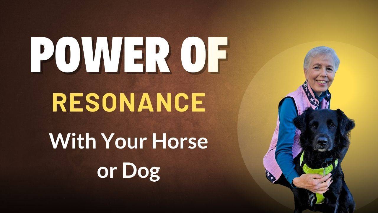 The Transformative Power of Resonance with Your Horse or Dog