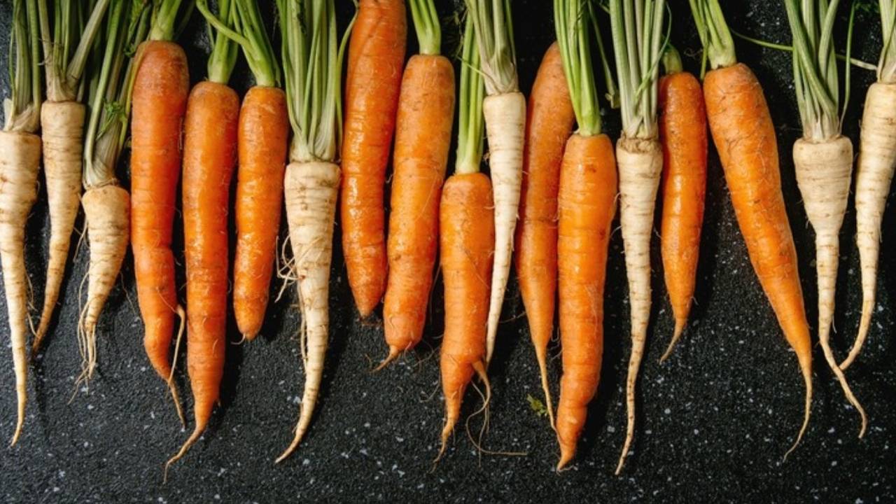 Addictive Carrot Recipes