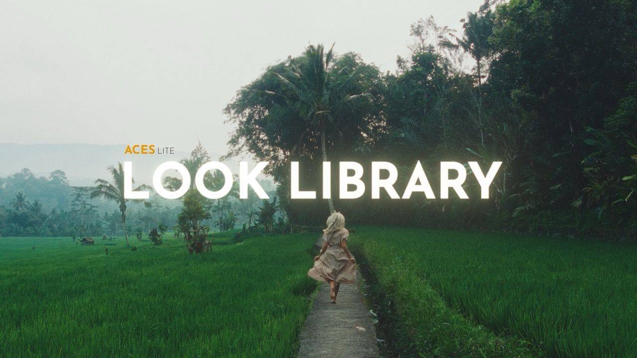 ACES lite - Look Library