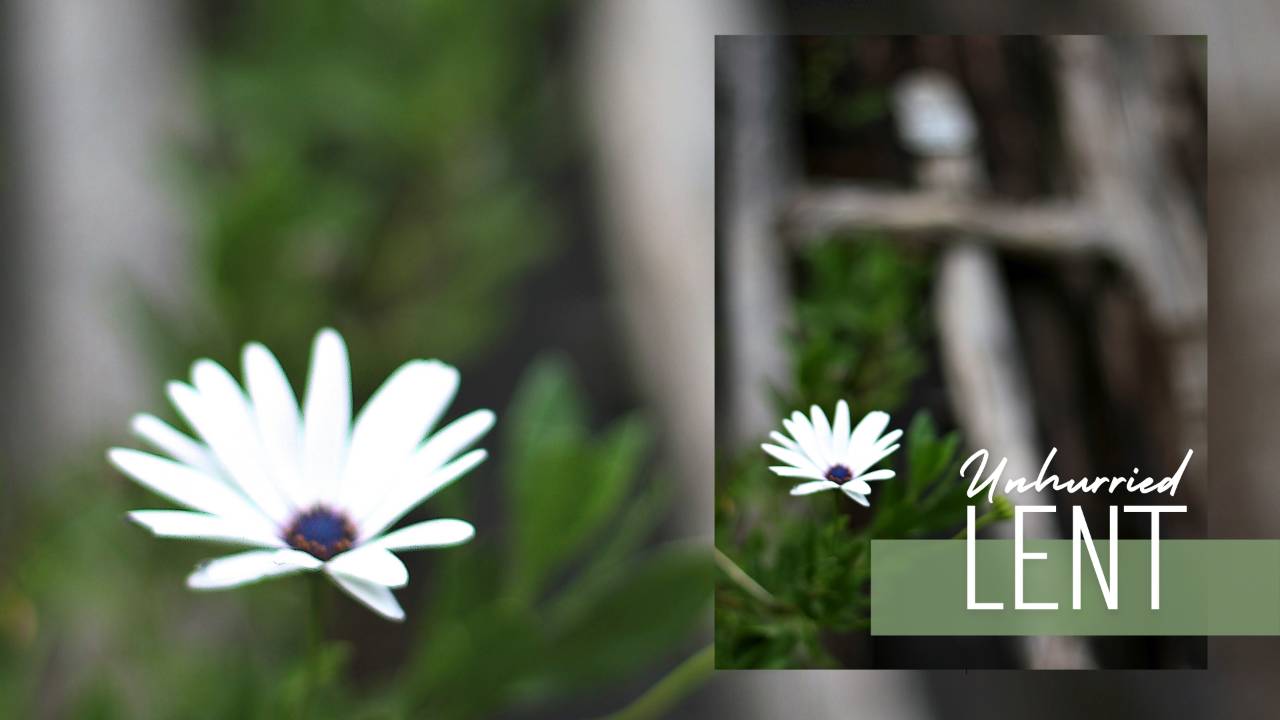 40 Days of Journeying to the Cross: An Unhurried Lent