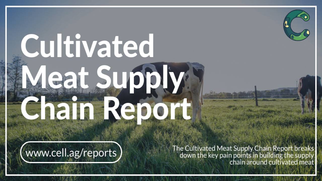 Cultivated Meat Supply Chain Report