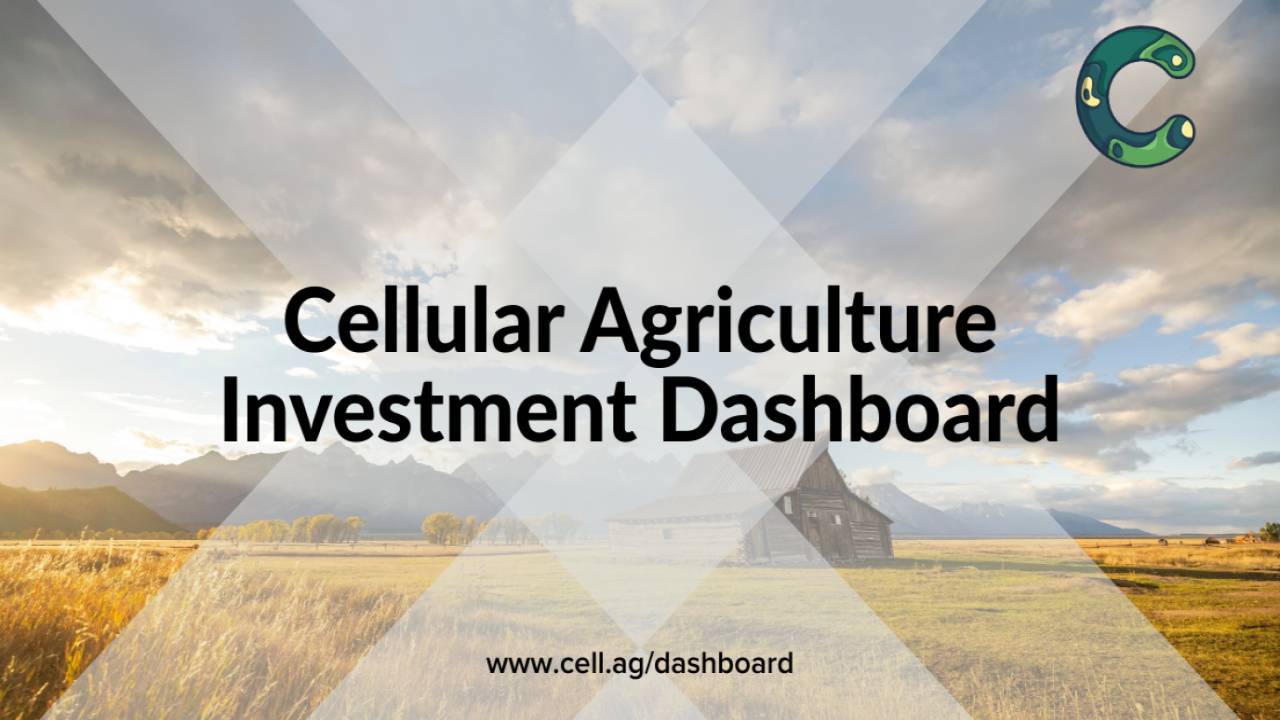 Cellular Agriculture Investment Dashboard