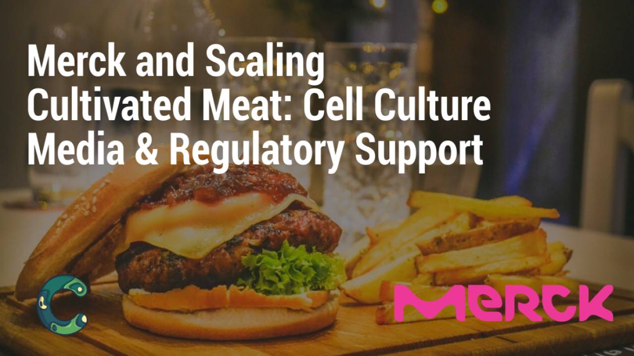 Merck and Scaling Cultivated Meat: Cell Culture Media & Regulation